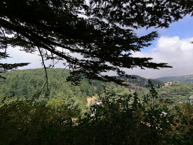 Places to Visit in Lebanon - A Full Guide - Ajar - Staycations in Lebanon