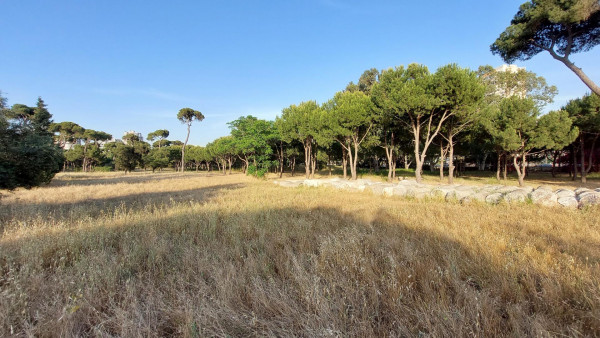 Visit Beirut: 19 Places to See - Explore our Capital - Ajar Lebanon