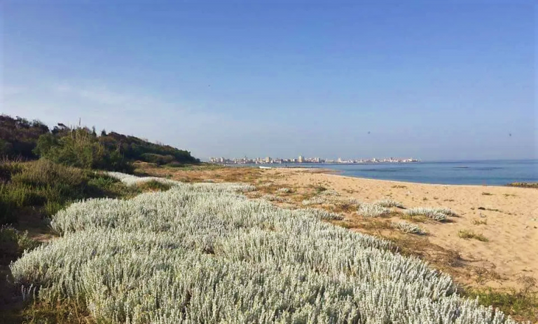 Lebanon Beaches: Top 10 Clean (and Mostly Free) Beaches - Ajar